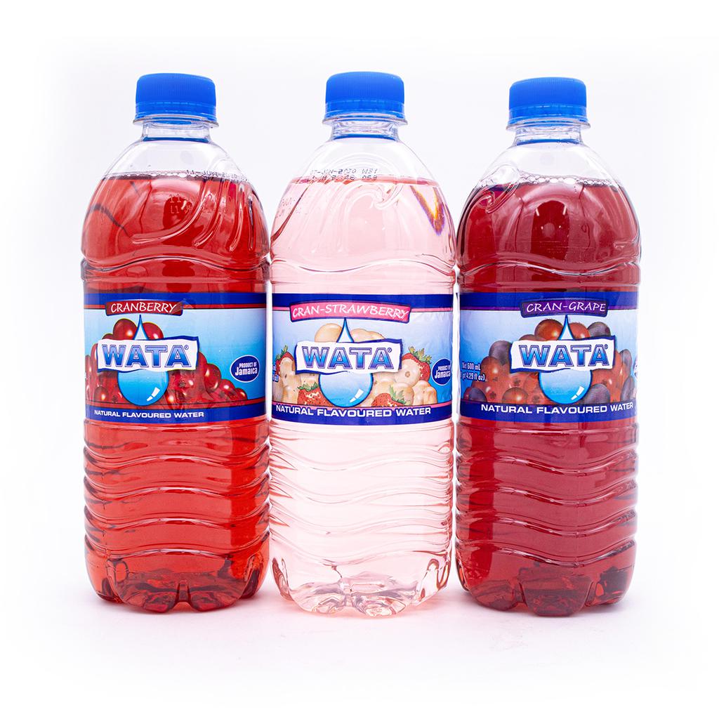 Cran Wata Flavoured Water 24 Units / 600 mL